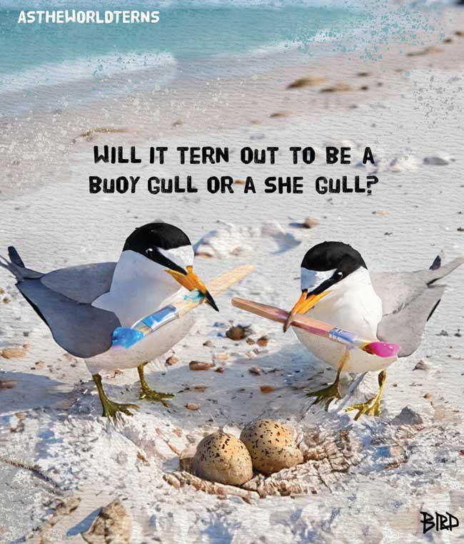 As the world terns - 06-10-2026 - The Anna Maria Islander