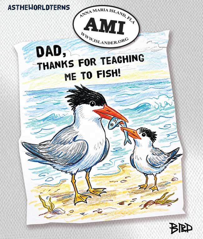 As the world terns - 06-17-2026 - The Anna Maria Islander